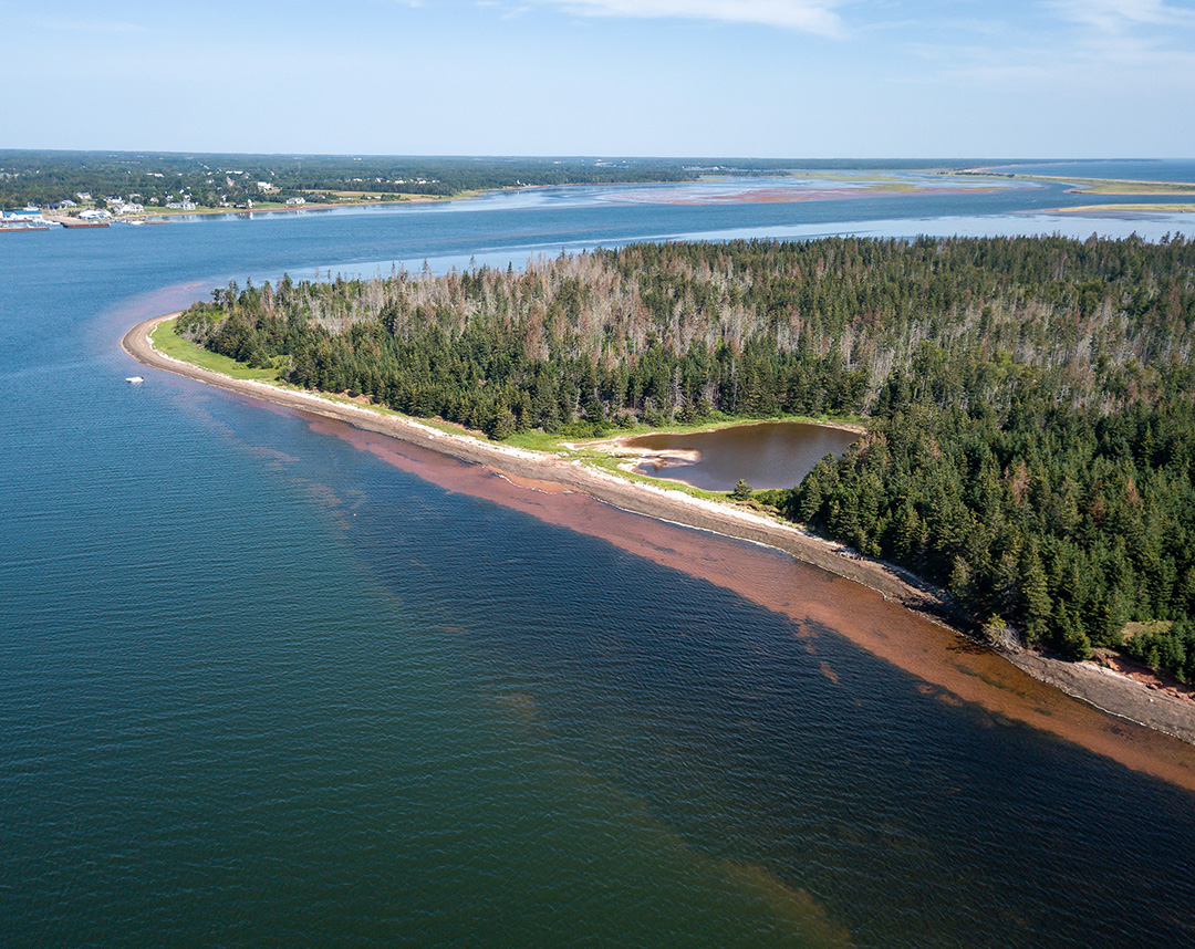 Côte Est - Conservation de la nature Canada